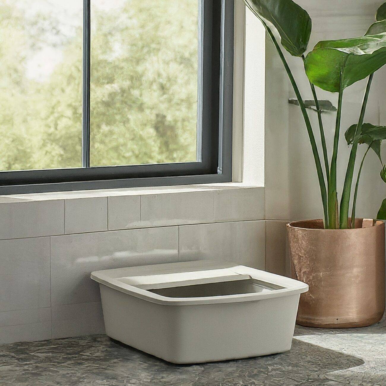 Will Cat Litter Melt Ice? Safer Winter Alternatives