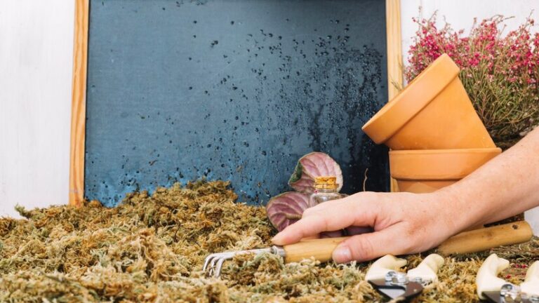 Maggots in Cat Litter Boxes: Causes, Prevention, and Solutions