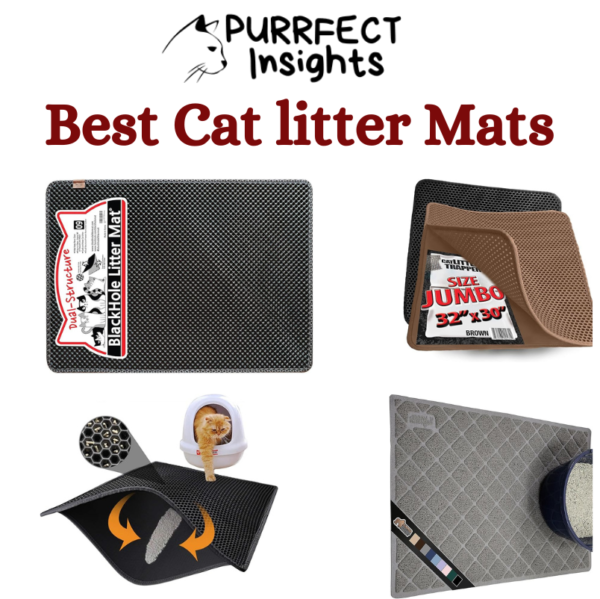 Best Cat Litter Mats to Minimize Mess: Keep Your Home Clean